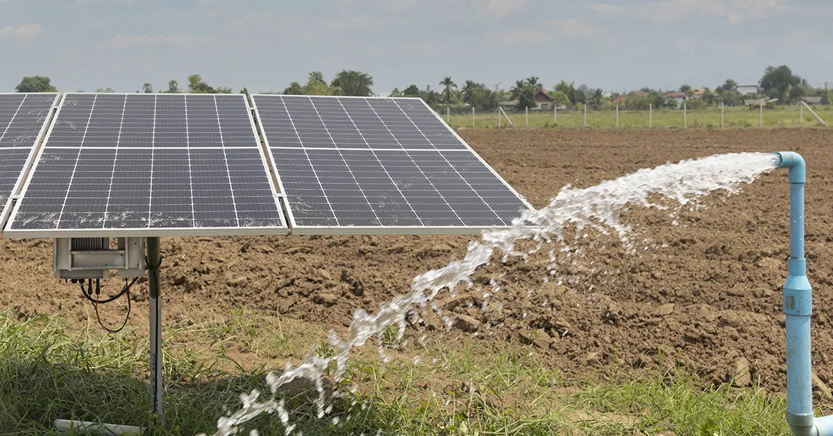 Bombas de agua solares Grundfos ¡Elige la máxima calidad!